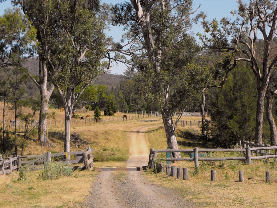 How Remote Work Could Save Rural Towns - Remote Work Hub